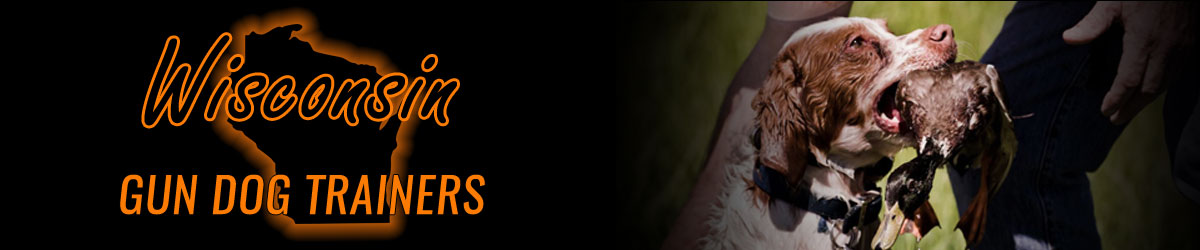 Wisconsin Gun Dog Trainers | Hunting Dog Trainers In WI